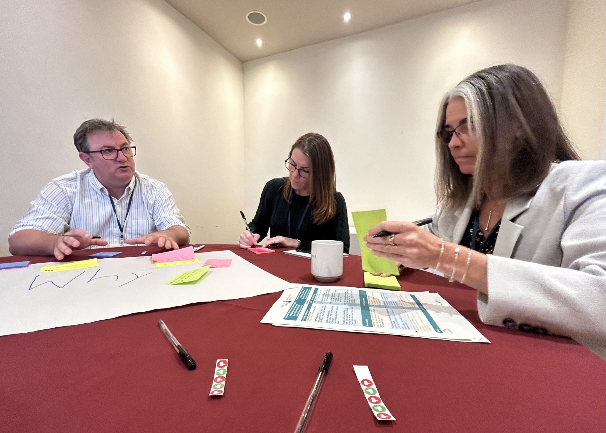 Participation, principles, and purpose | Facilitating the All Wales ...