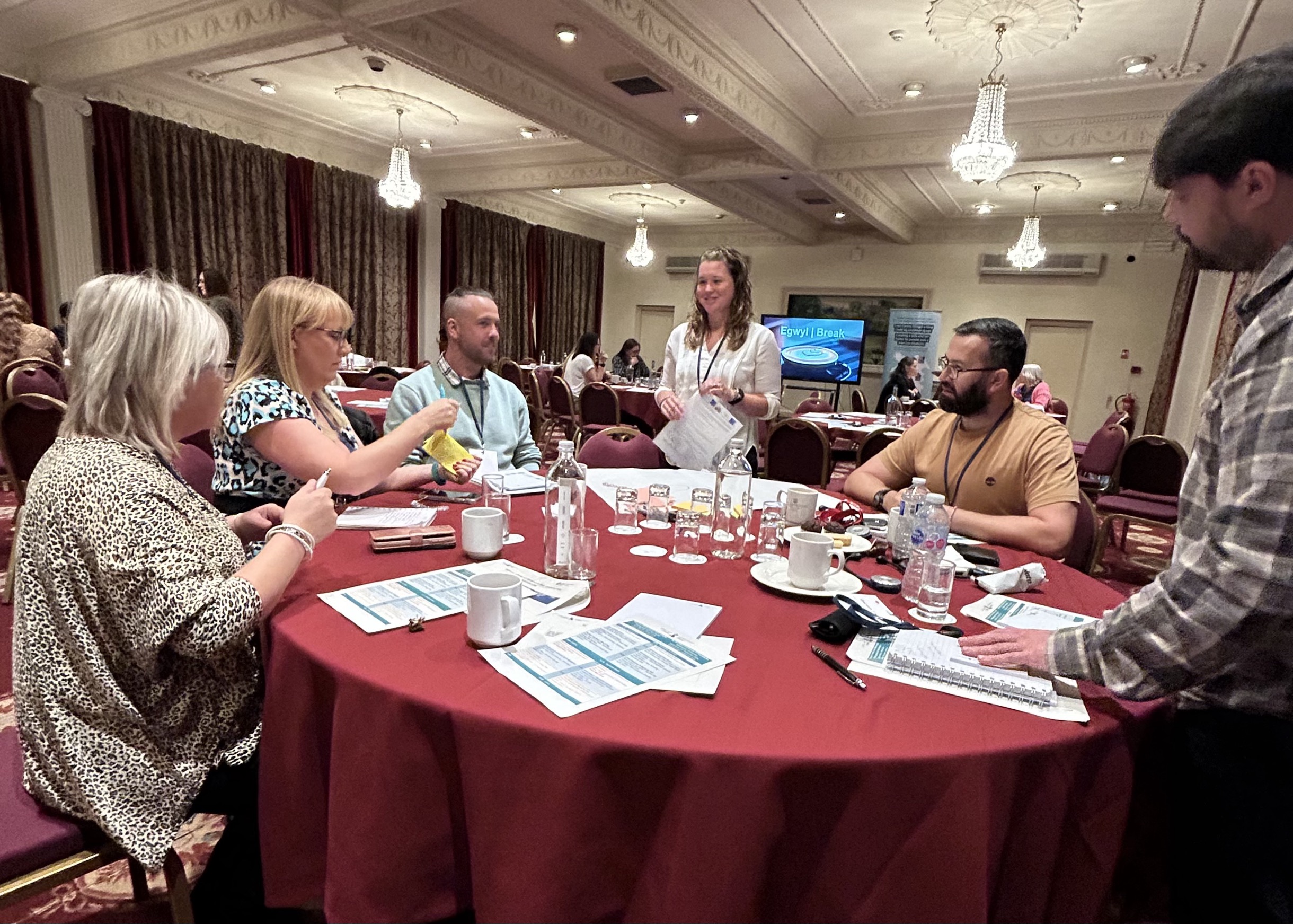 Participation, principles, and purpose | Facilitating the All Wales ...